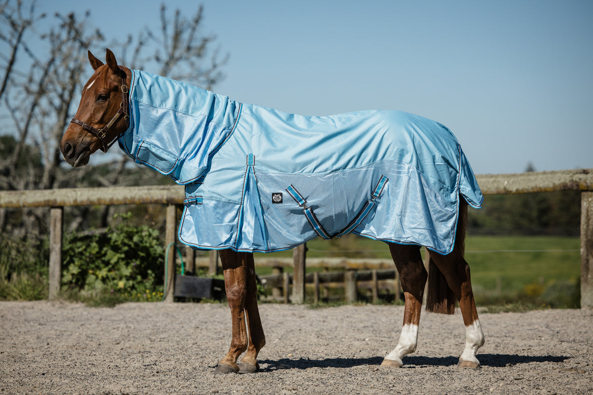 1200D No Fill Mesh Sided Light Blue Combo – Canter for Cancer NZ