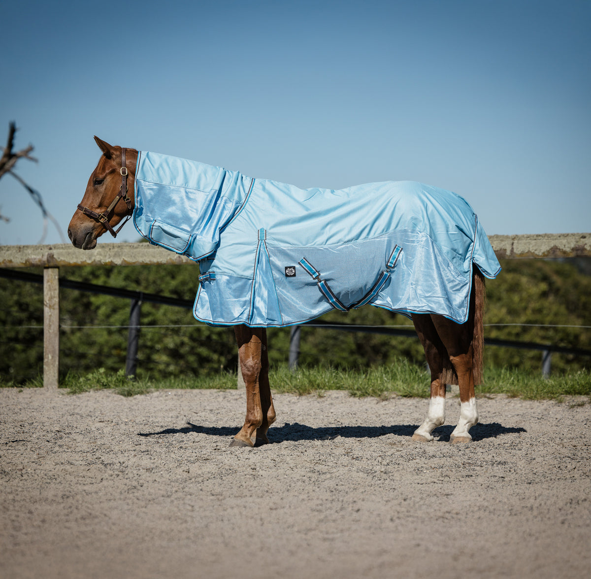 1200D No Fill Mesh Sided Light Blue Combo – Canter for Cancer NZ