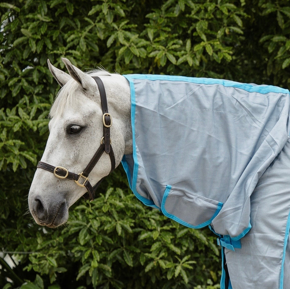 Spare Neck Rugs – NZ 4.3 – 5.6 – Canter for Cancer NZ