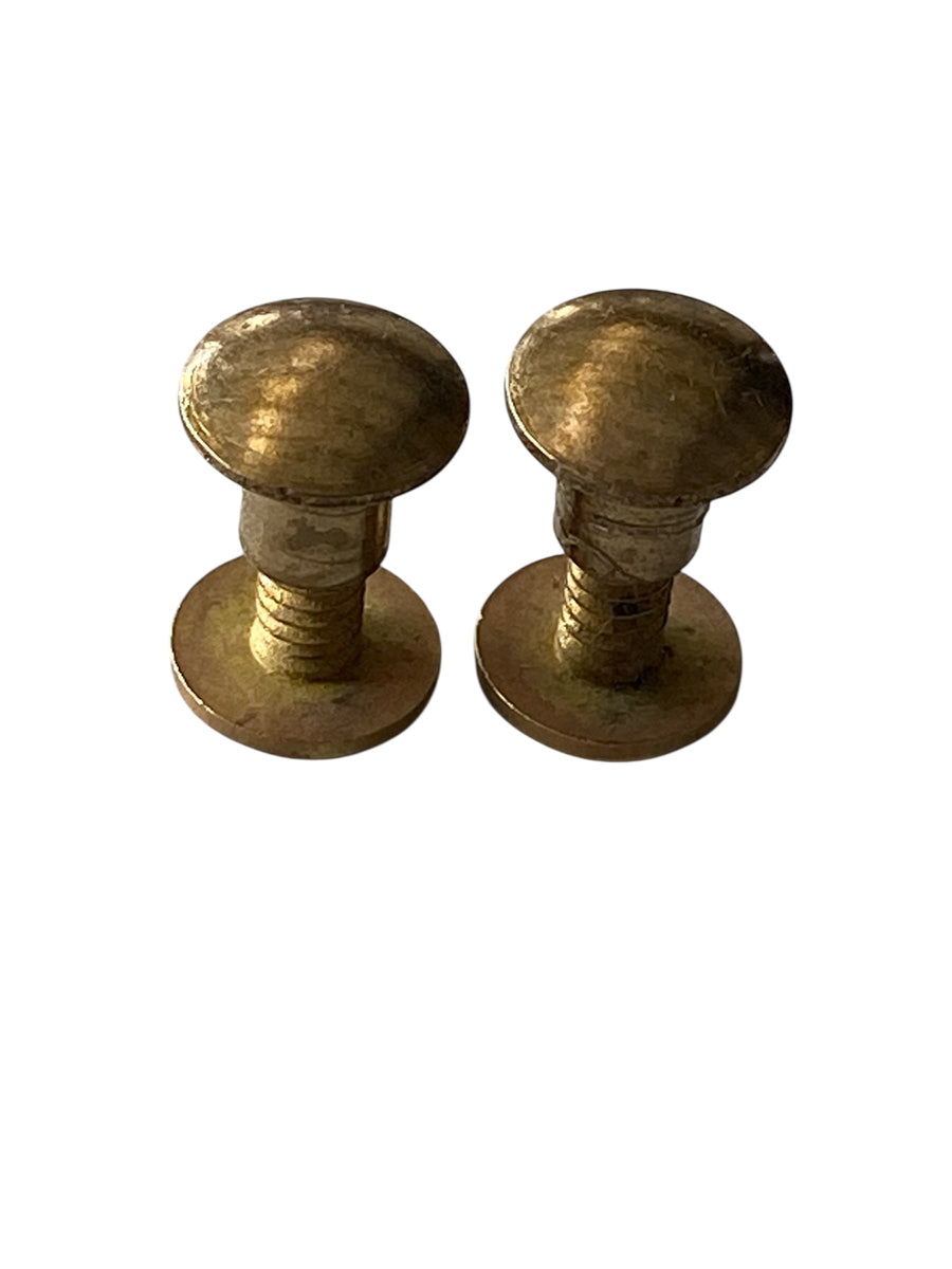 Halter Name Plate Screw – Canter for Cancer NZ