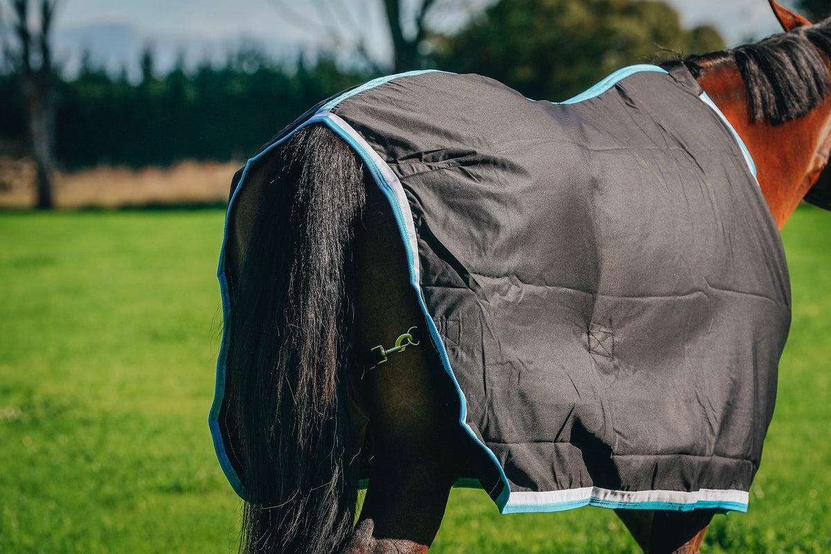 Classic Trophy Rugs – Black – Canter for Cancer NZ