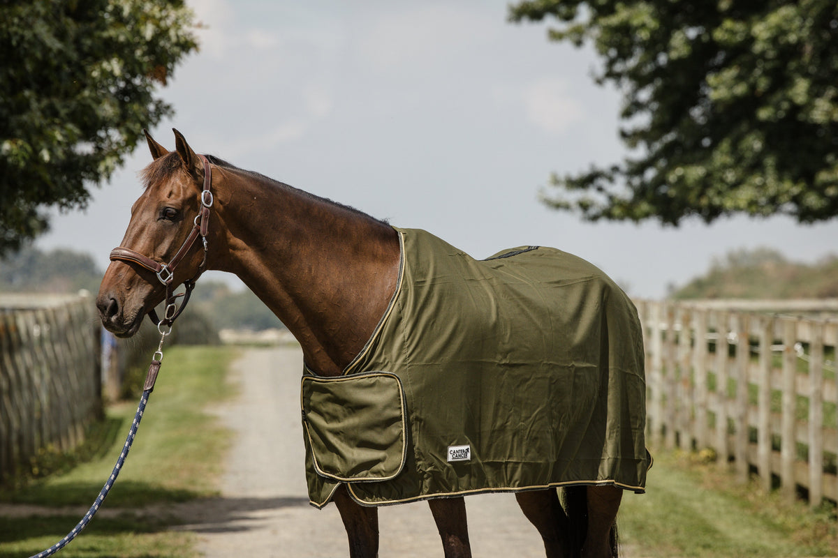 Classic Trophy Rugs – Olive – Canter for Cancer NZ