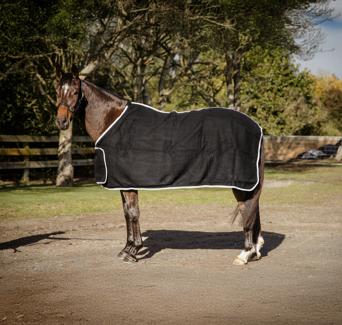 Wool Trophy Rugs NZ 4.9 only – Canter for Cancer NZ