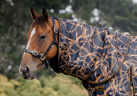 Spare Neck Rugs – NZ 4.3 – 5.6 – Canter for Cancer NZ