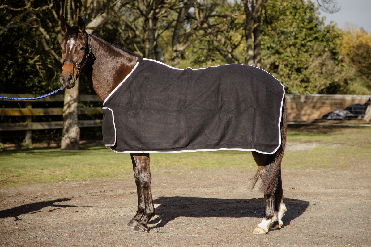 Wool Trophy Rugs – Canter for Cancer NZ