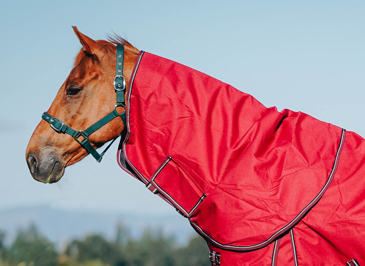 Spare Neck Rugs – NZ 4.3 – 5.6 – Canter for Cancer NZ