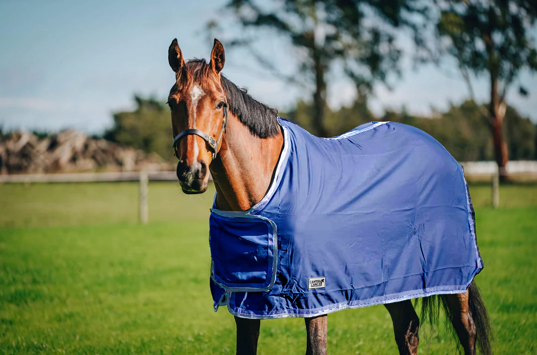 Classic Trophy Rugs – Blue – Canter for Cancer NZ